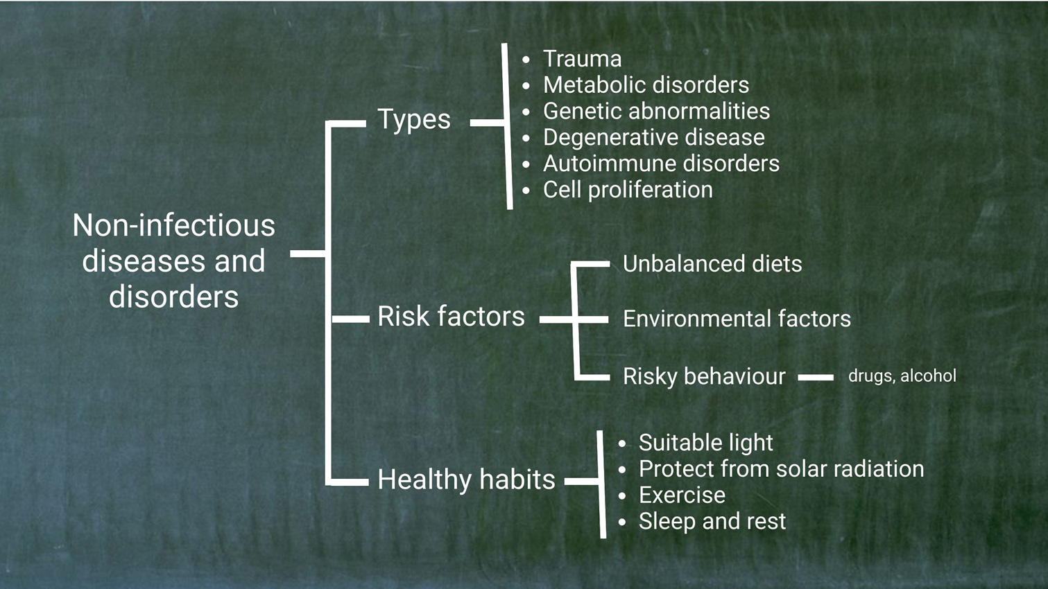 Prismas Santillana | Plataforma educativa digital
