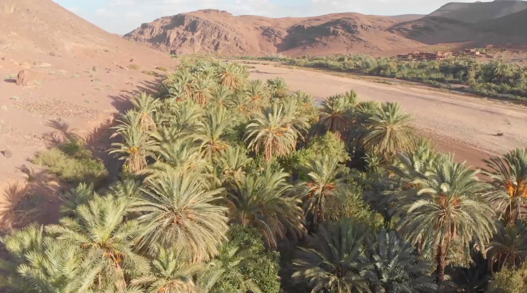 Prismas Santillana | Plataforma educativa digital